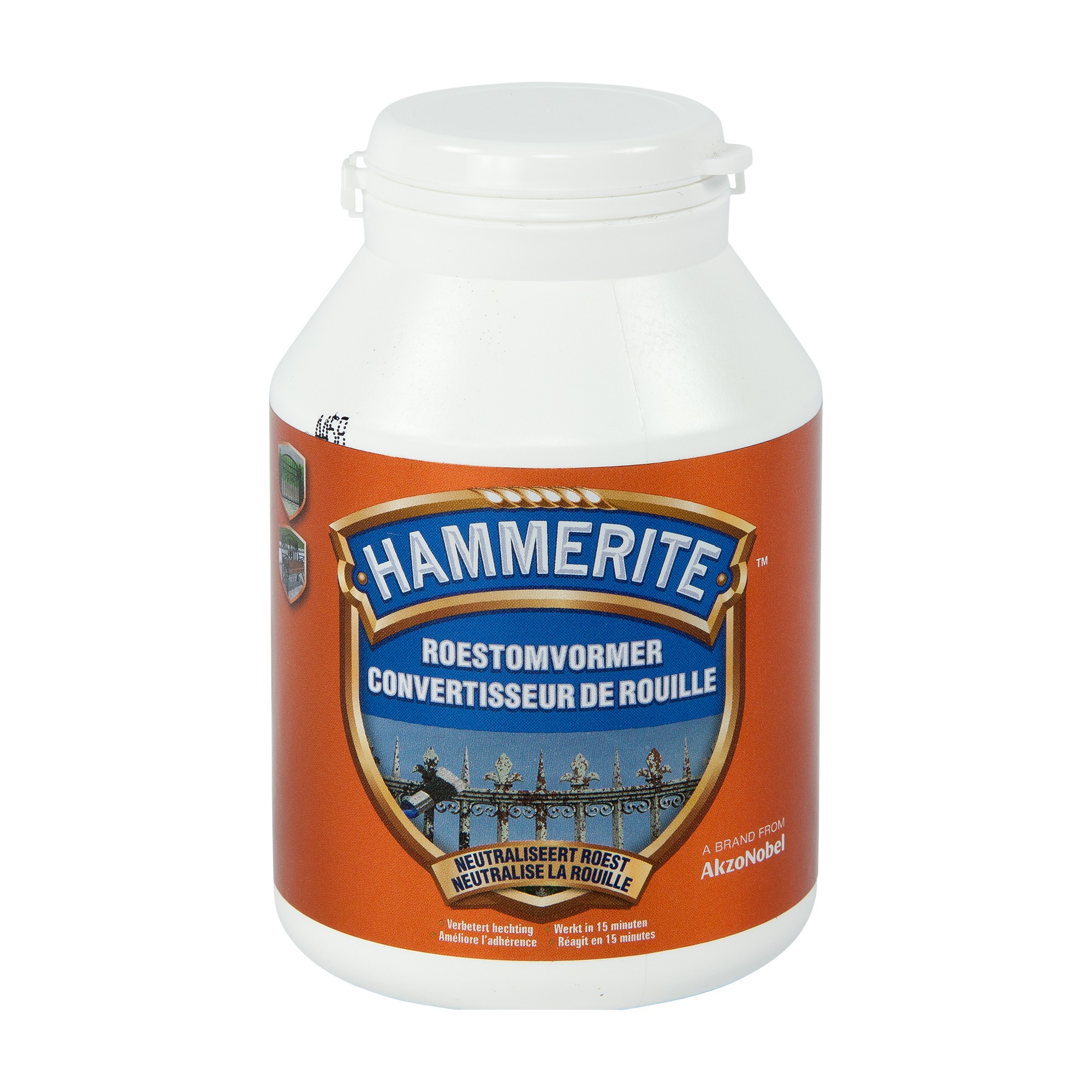 Hammerite roestomvormer 250 ml | Primer & grondlagen | Verf & behang ...