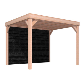 Overkapping Douglas Hout Zwart met Achterwand 270x330 cm ...