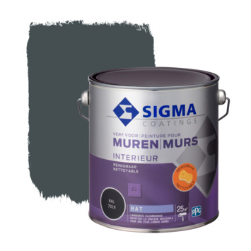 Sigma peinture murale lavable mate 2,5 L RAL 7016 | Peinture mur ...