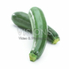 Groenteplantjes courgette geel | GAMMA.be